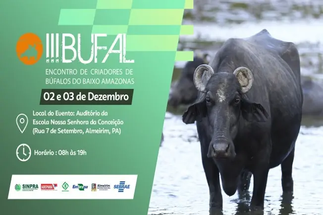 Sebrae/PA | Loja Virtual - III BUFAL#oSebraeTem